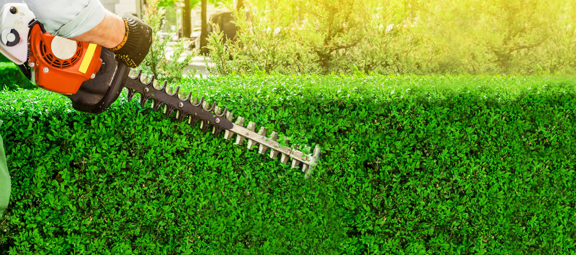 Συντήρηση Πρασίνου | Αφοί Φασουλάκη Ο.Ε.